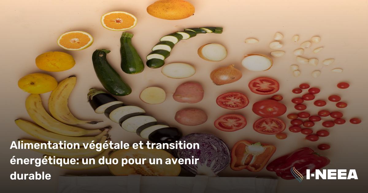 Alimentation végétale et transition énergétique: un duo pour un avenir ...